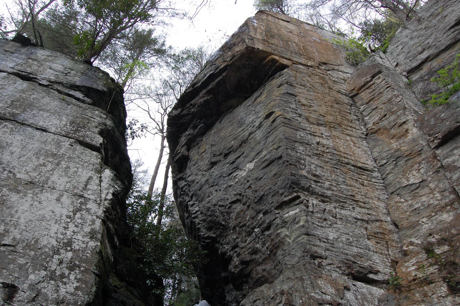 Jillian In Georgia: Raven Cliff Falls