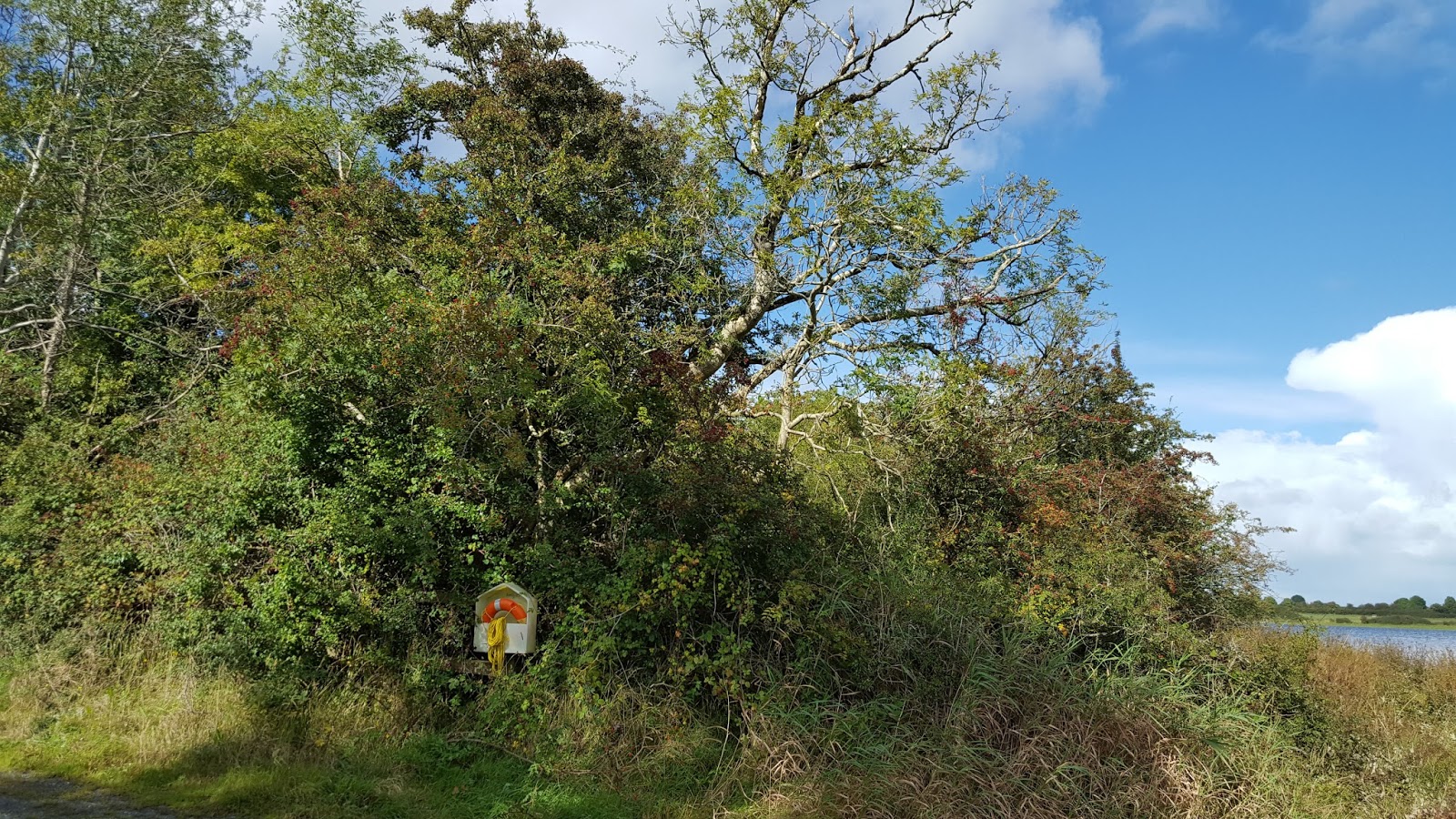 Madden Moments: Galey Castle