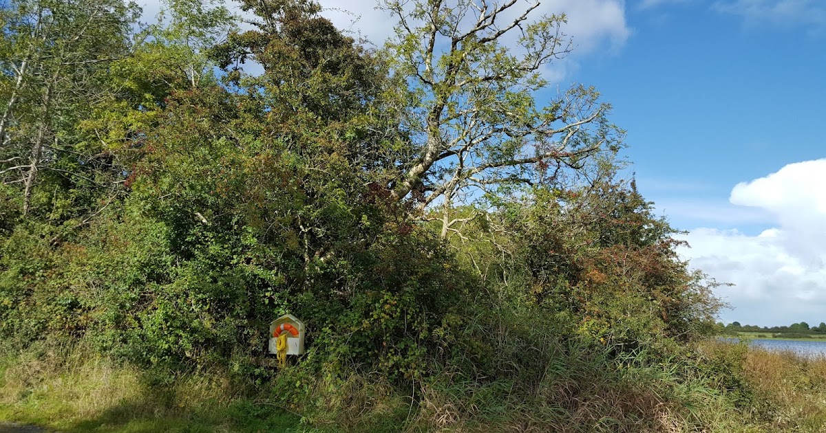 Madden Moments: Galey Castle