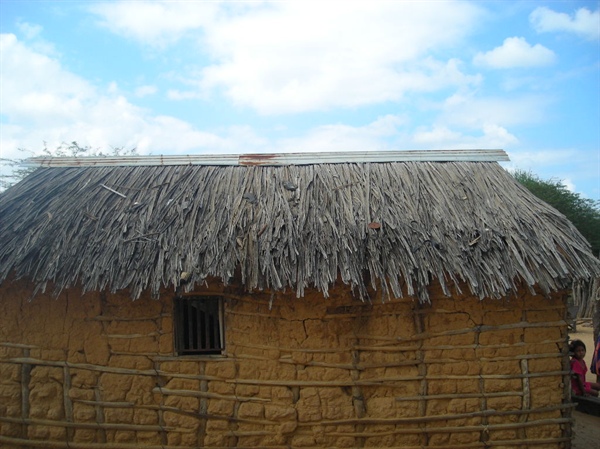 Historia De Los Wayuu