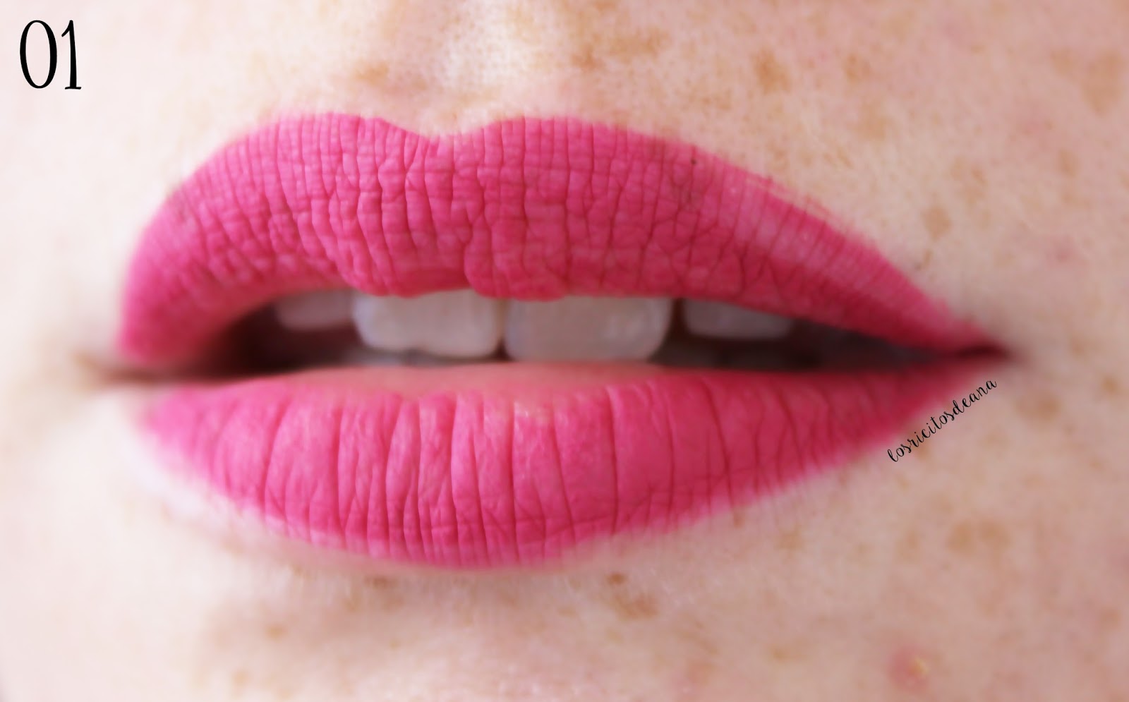 Los ricitos de Ana: Review y Swatches | Labiales fijos Leticia Well