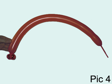 CLASSICAL: Balloon fish