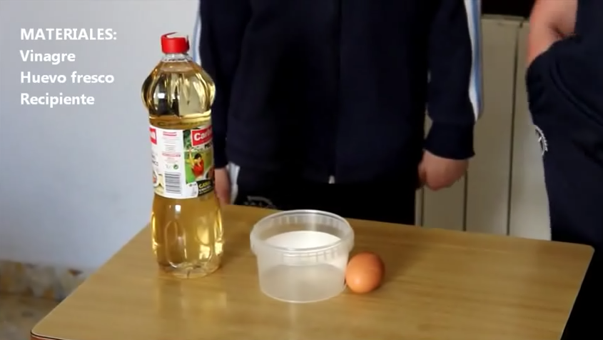 IDEAmoS recuRsos EducaTivOS : Experimentamos...El huevo saltarín