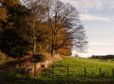 Balcarres Estate walk ....