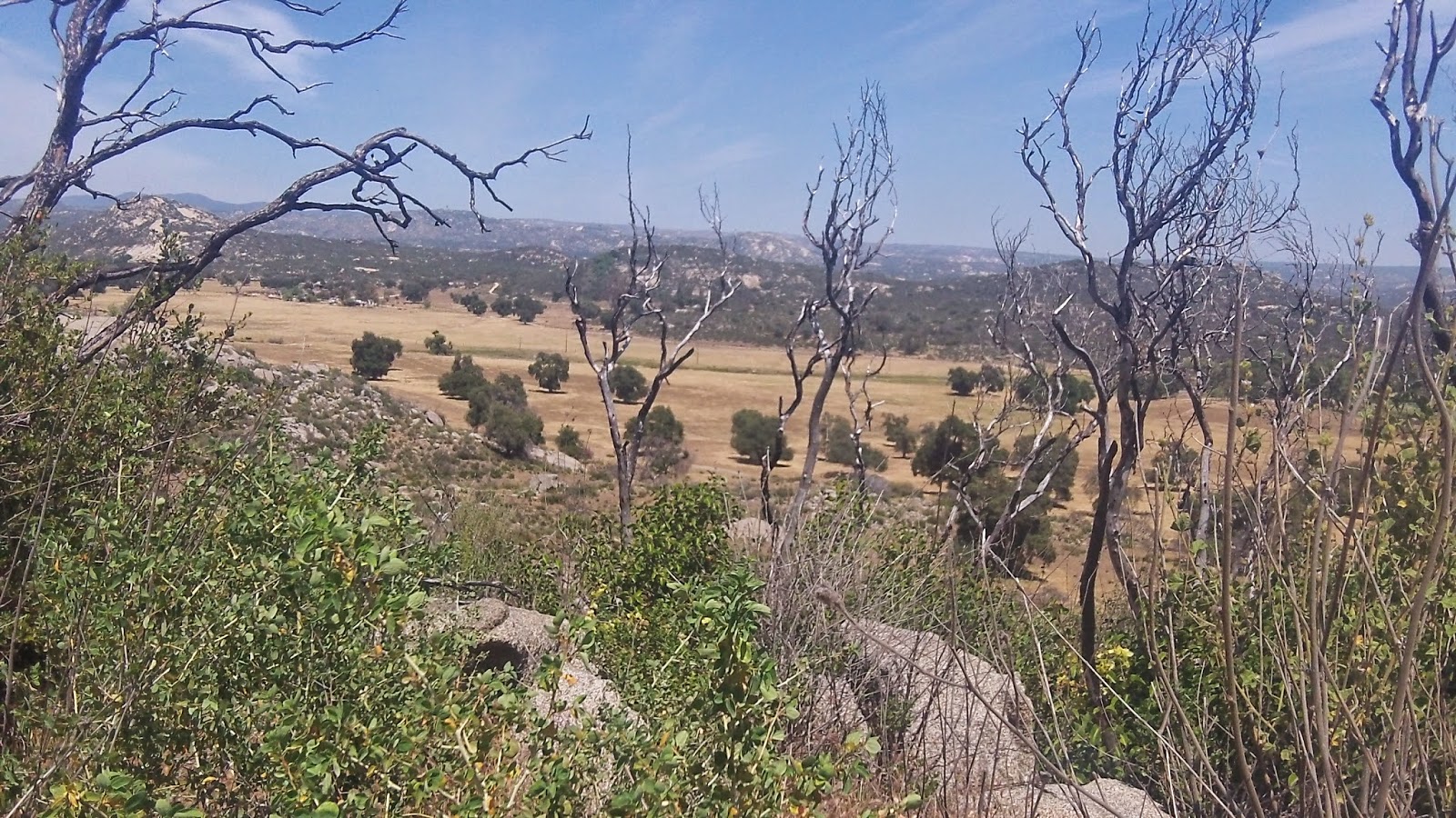 The Traveling Mandolin: PCT Weekly Photo: The beginning of the trail ...