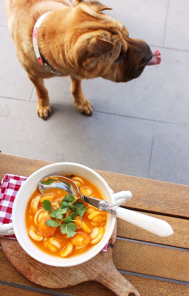 Sopa rica de peixe | SWEET BIGAS