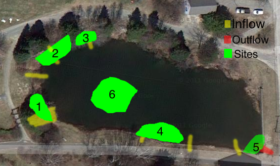 AP Environmental Science: Pond Water Lab