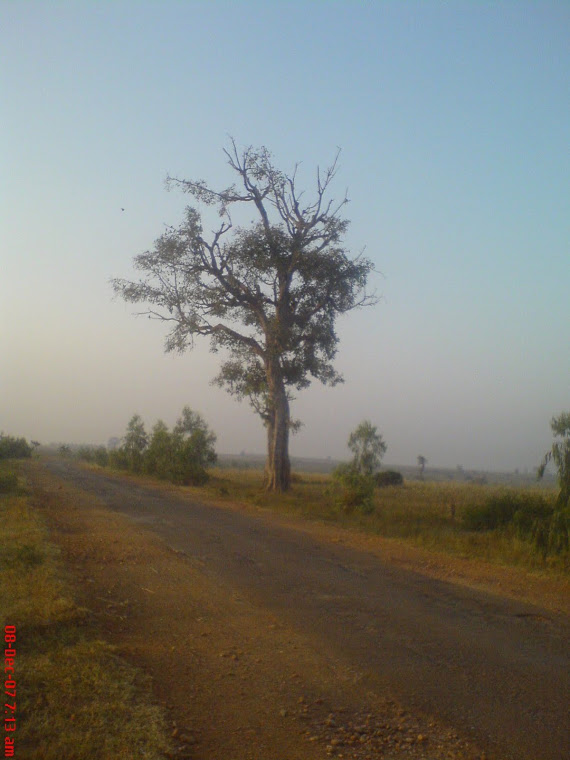 Honnali