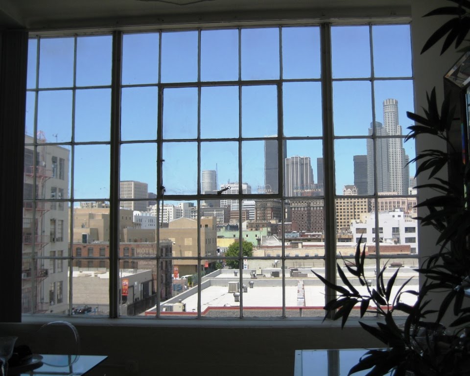 Doves Today: Thematic Photographic - Windows