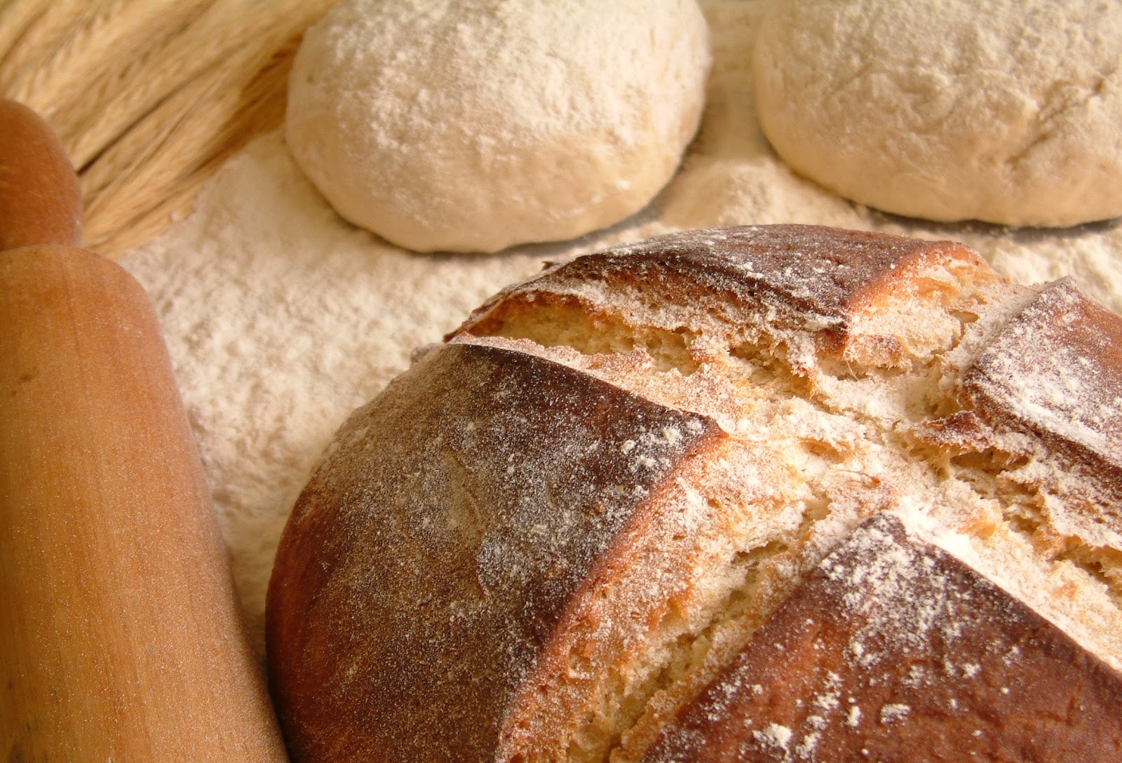 Pães diversos, massas e pizzas