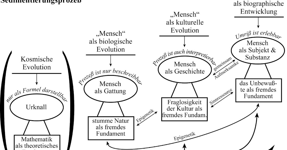 Erkenntnisethik: Rupert Sheldrake, Der Wissenschaftswahn. Warum der ...