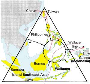 The Great Polynesian people, their history and culture: Polynesian ...