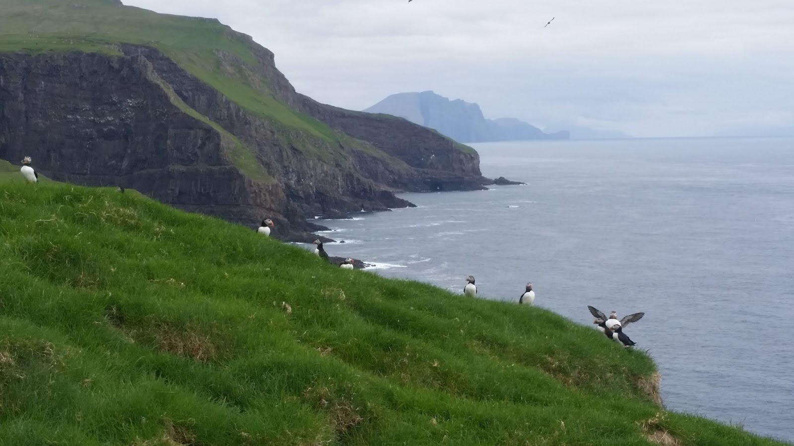 Sailing Faeroe Islands - Iceland