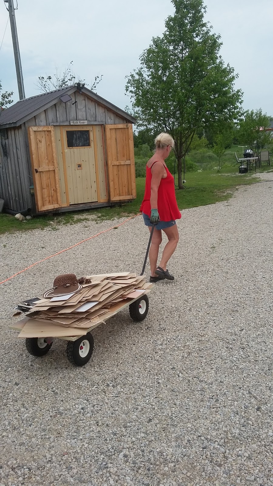 Chillin' with Patsy: Hot and Cold Water, Storage Shed Cleaning, Grass ...