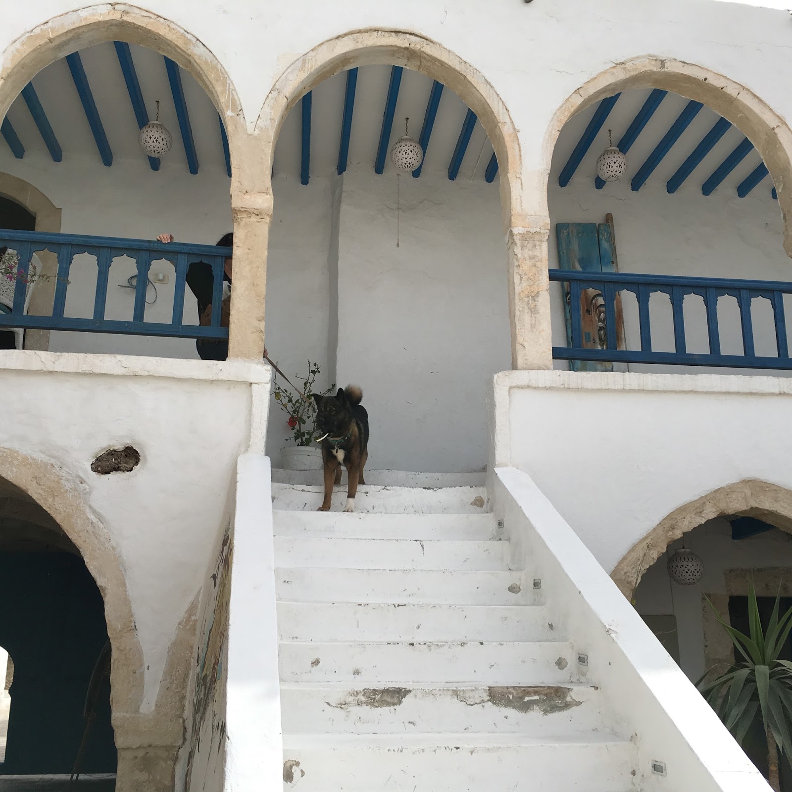 Les aventures de Spoutnik à Djerba: Le Foundouk, un incontournable de ...