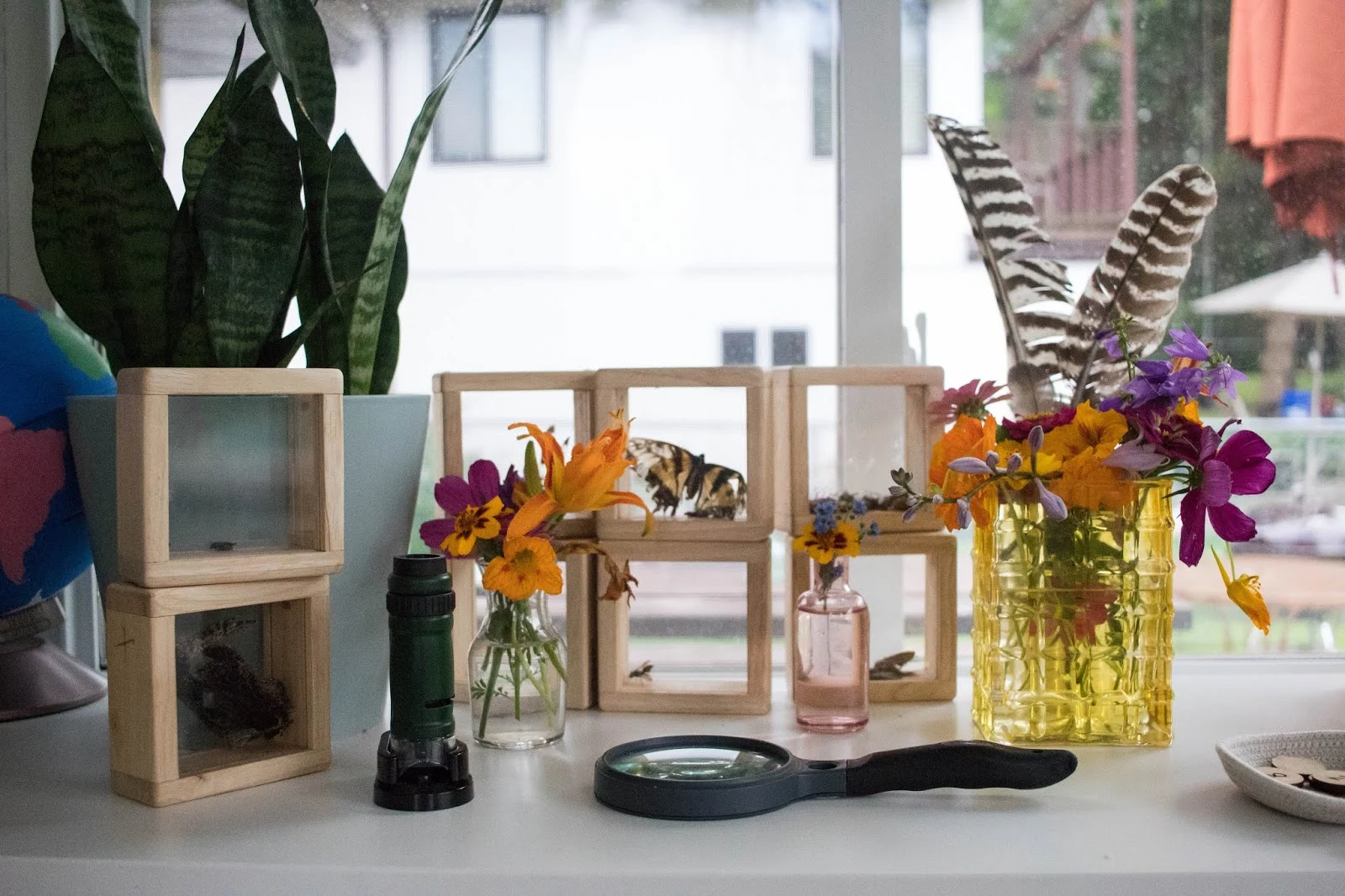 Summer Nature Collections in Our Montessori Home