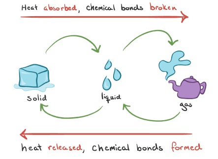 Chemistry Video: Endothermic and Exothermic Reactions