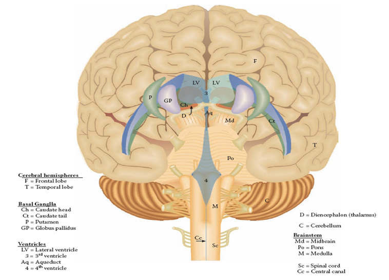 WEB BLOG. PSIKOLOGI.COM Universitas Prima Indonesia (UNPRI ...