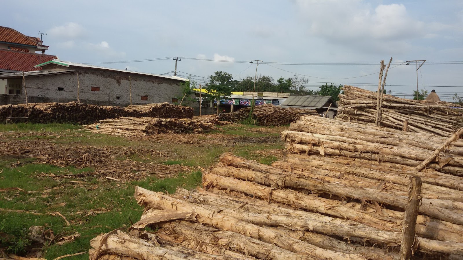 melayani gratis jasa antar untuk Jakarta, Bogor, Depok, Tangerang ...