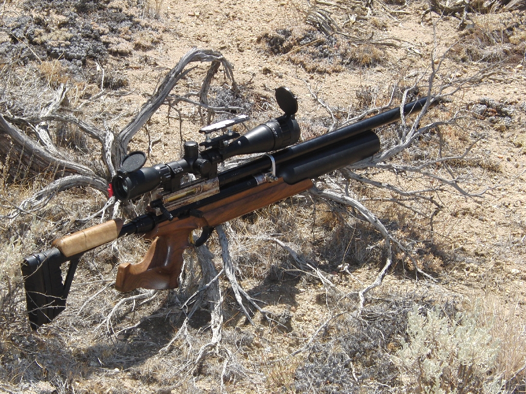 Tofazfou's HPA (high powered air gun) Expeditions: The Dave G ...