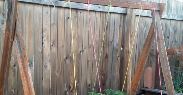 Erin Reed Makes: Colorful Rope for Training Tomato Plants - Canavs Corp ...
