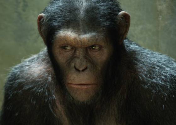 Cacimbão da História: PLANETA DOS MACACOS: A ORIGEM DO CHE GUEVARA SÍMIO