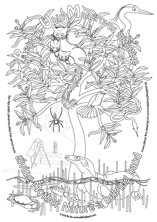 Mangrove Tree Roots Coloring Pages