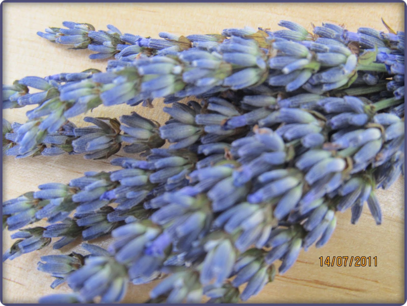 po osmi in pol: Sivka