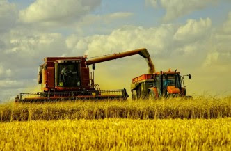 CC.SS SEBASTIAN LOPEZ: 1.EL SECTOR PRIMARIO EN ESTADOS UNIDOS