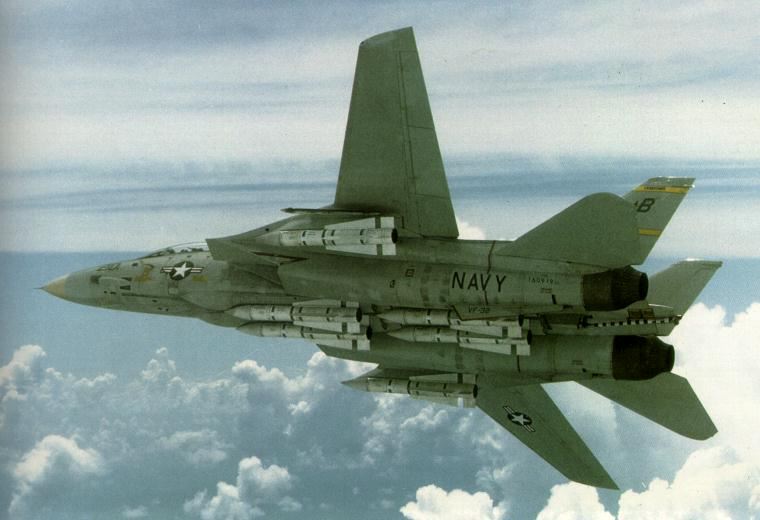 F-14 Tomcat