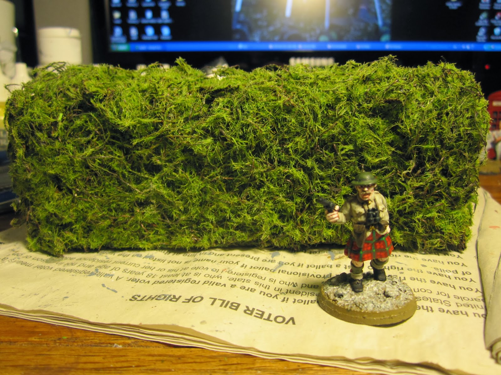 Quick Hedge Row (And Now Planters Too)