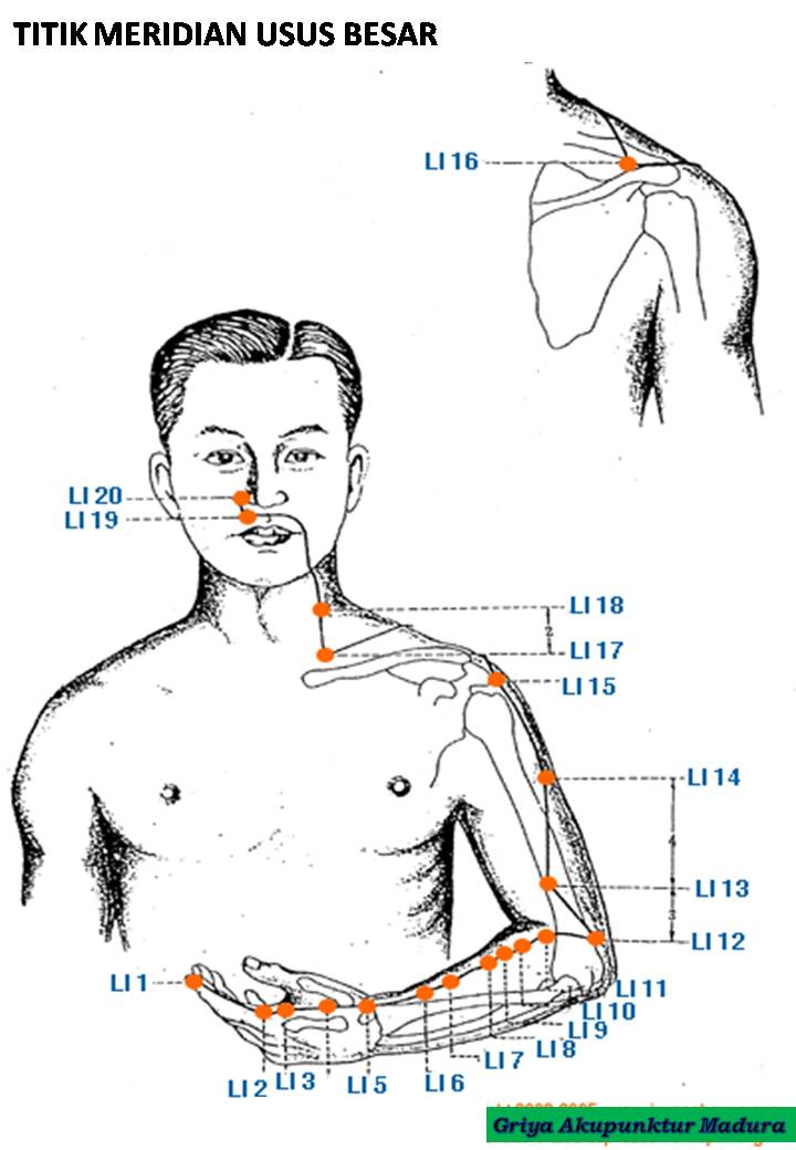 Ilmu Titik Meridian Akupuntur Dan Akupresur