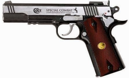 armeria vesuvio di russo maddalena