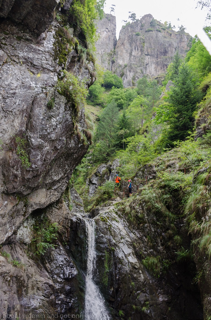 Bocanci la apa, in Valea lui Stan