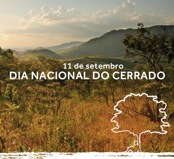 11 de Setembro: Dia Nacional do Cerrado