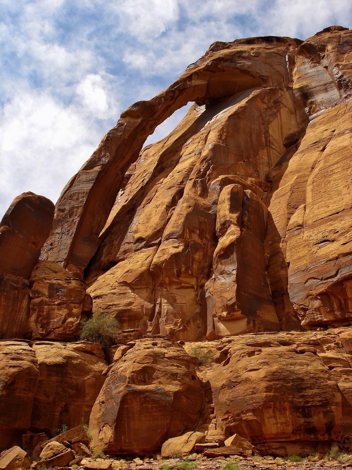 The Southwest Through Wide Brown Eyes: Long Canyon via the Shafer Trail.
