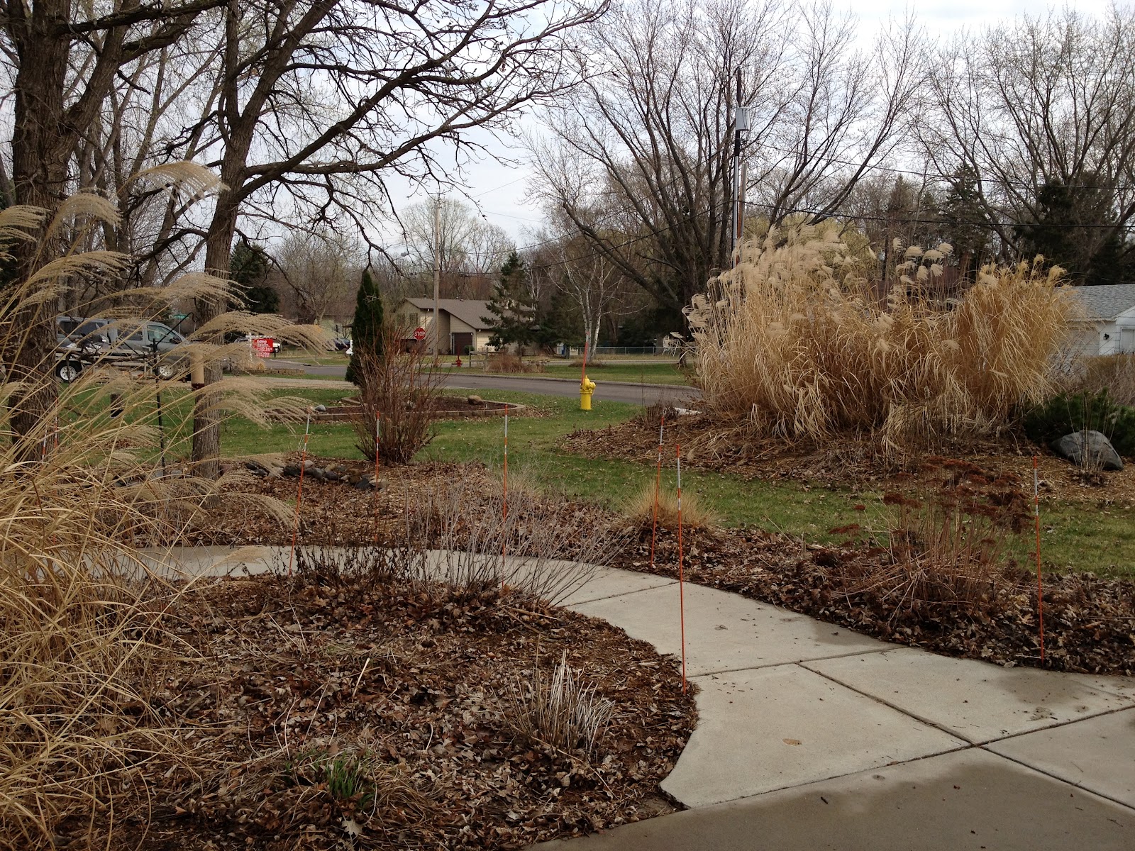 Enjoying My Garden: The Good, the Bad, and the Ugly...