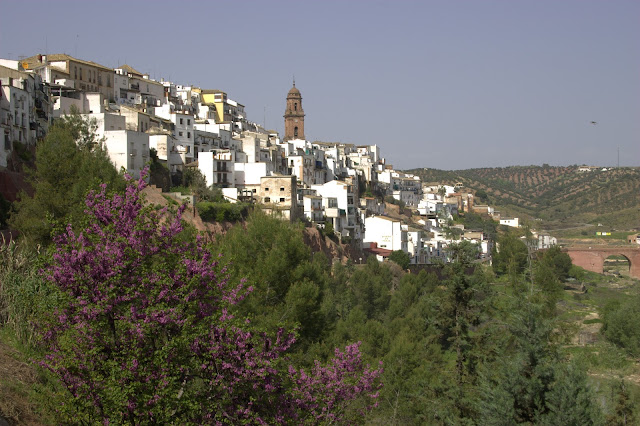 Pasión por Montoro: Montoro en imágenes