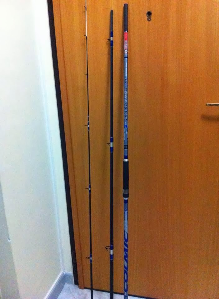 Canna Colmic Promessa xt 20/100g | uno squalo in blog