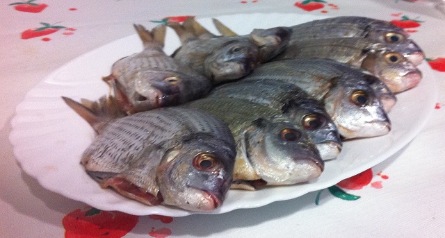 Manuel Velasco Carretero - Economía - Derecho - Empresa: Mojarra a la ...