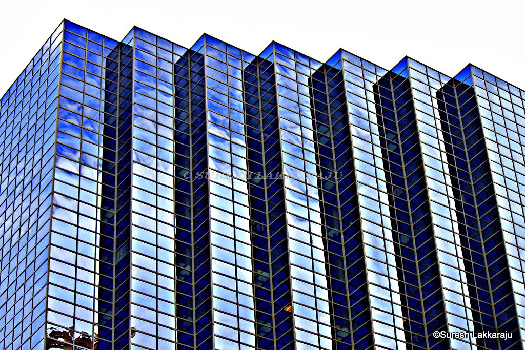 Reflections...: Vertical Photography