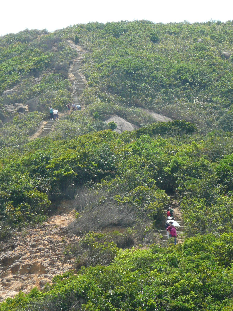 WEBS OF SIGNIFICANCE: From Jardine's Lookout to Mount Butler (Photo-essay)