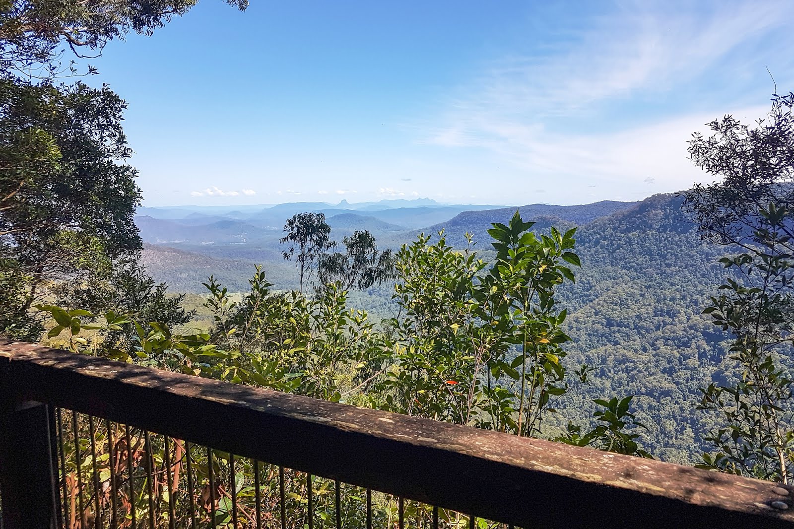 National Park Odyssey: Tweed Range Scenic Drive, Wildlife and Walks in ...