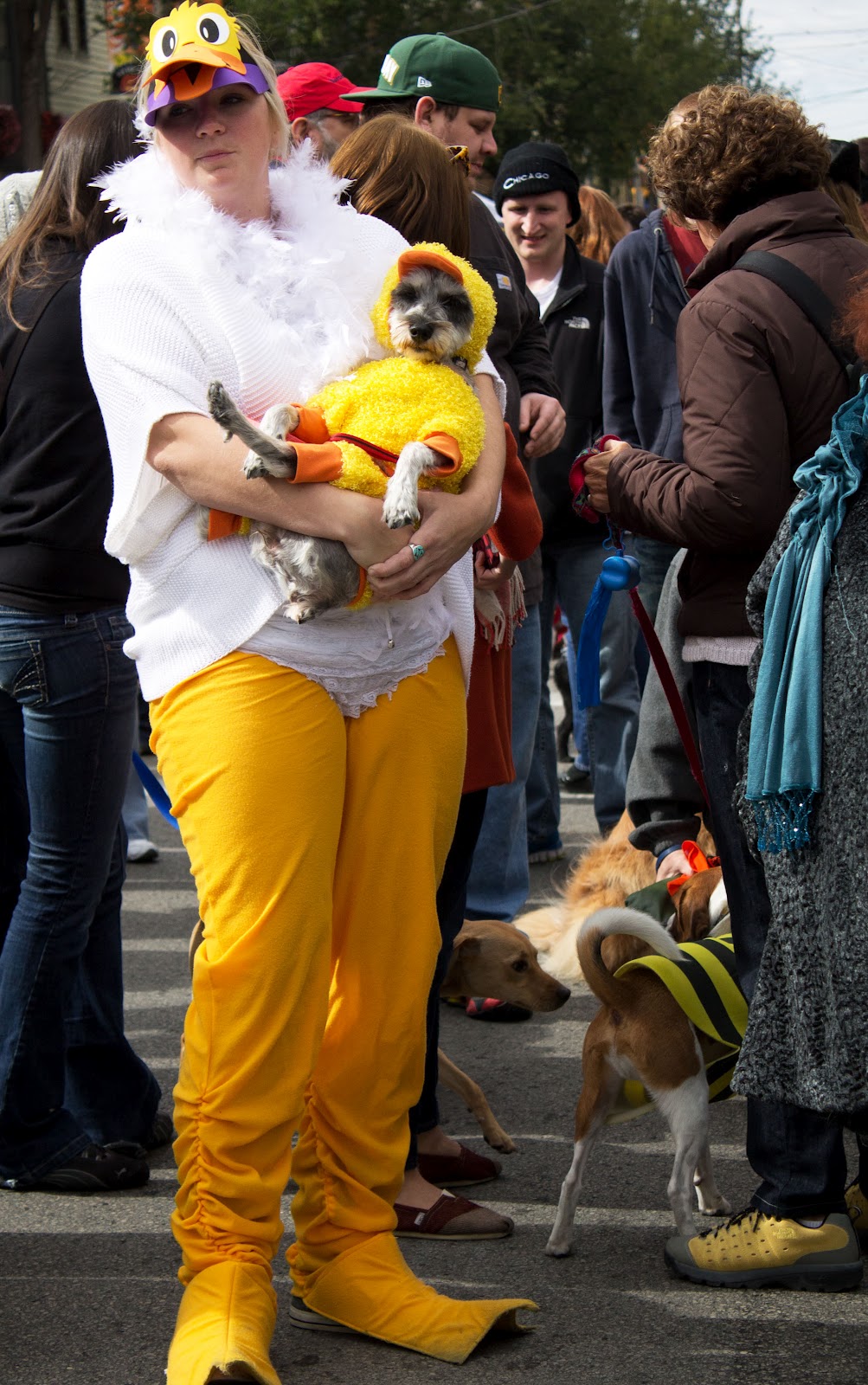 Midwestern City Girl: The Cutest Parade in Milwaukee: Brady Street Pet ...