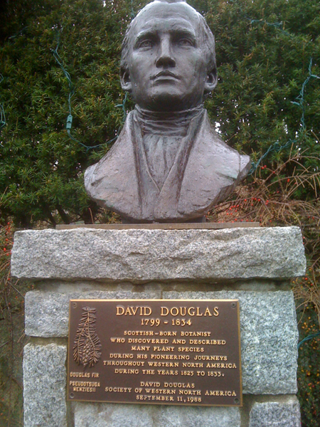 Off-at-a-Tangent: PLANTS AND PLANT HUNTERS