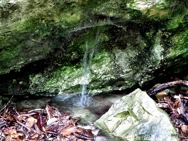 Un jour....Une photo !: Combe Vidauque : grotte tunnel , roche percée ...