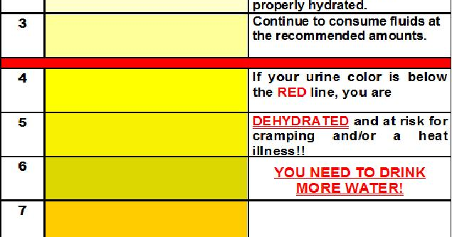 AH: Heat Stroke & Urine Chart