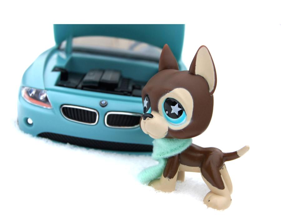 eLeN-LPS: 002. Oceny Dogów Niemieckich.