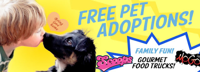 Humane Society Silicon Valley Blog: Adopt for Free