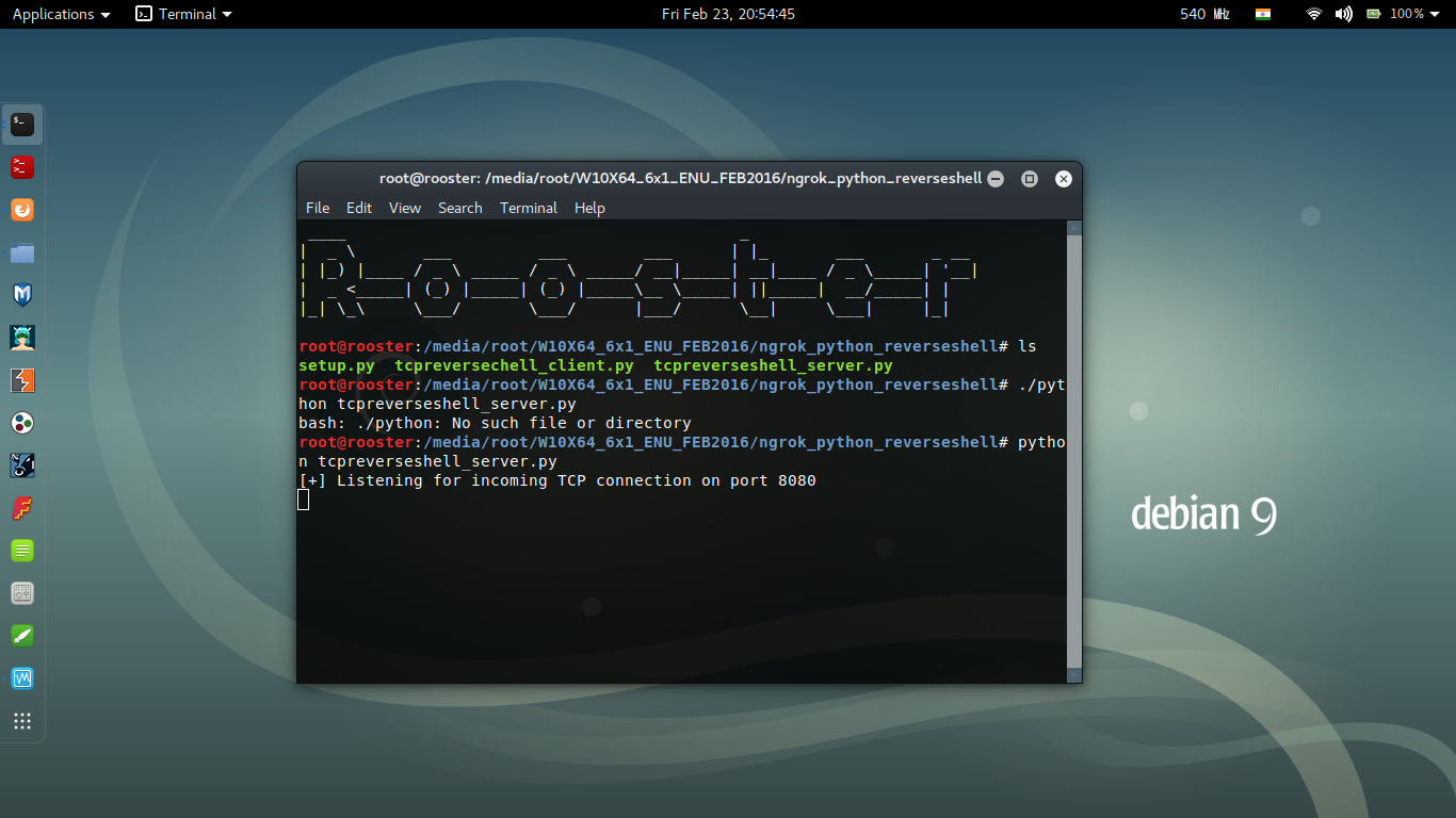No Port Forwarding Reverse Tcp Shell And Configure Ngrok